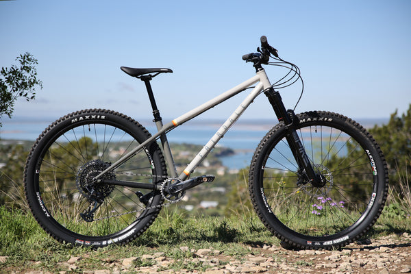 Fairdale Elevator 29" Hardtail MTB (Gloss Battleship Gray in M or L ...