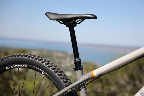 Fairdale Elevator 29" Hardtail MTB (Gloss Battleship Gray in M or L ...